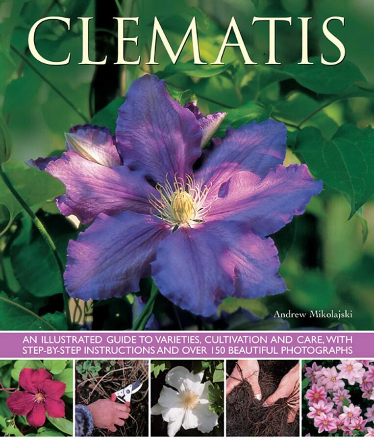 Clematis | Book by Andrew Mikolajski | Official Publisher Page | Simon & Schuster