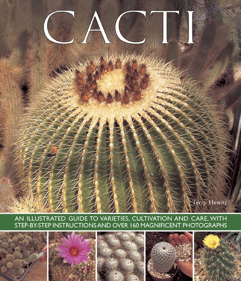 Cacti | Book by Terry Hewitt | Official Publisher Page | Simon & Schuster