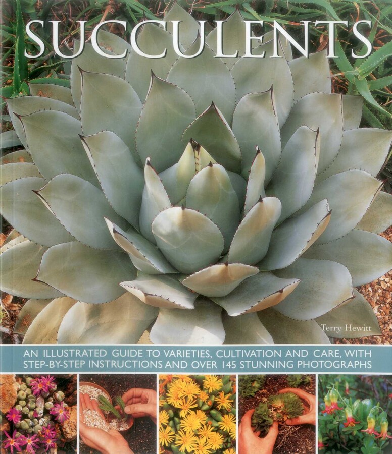 Succulents | Book by Terry Hewitt | Official Publisher Page | Simon ...