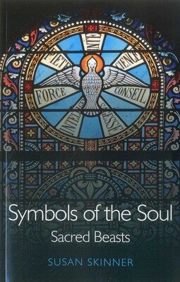 Symbols of the Soul eBook by Susan Skinner | Official Publisher Page ...