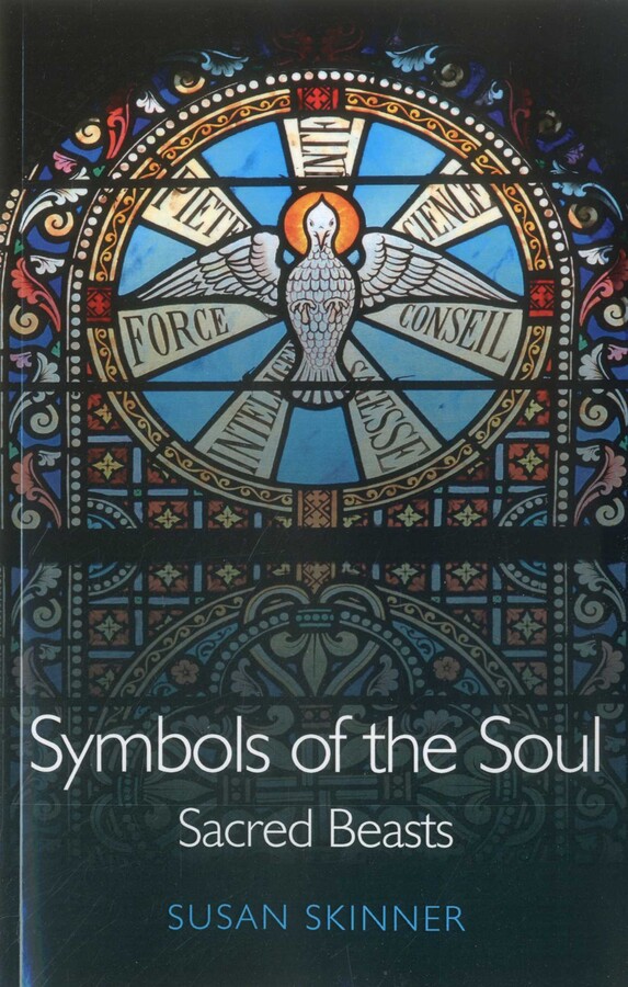 Symbols of the Soul eBook by Susan Skinner | Official Publisher Page ...