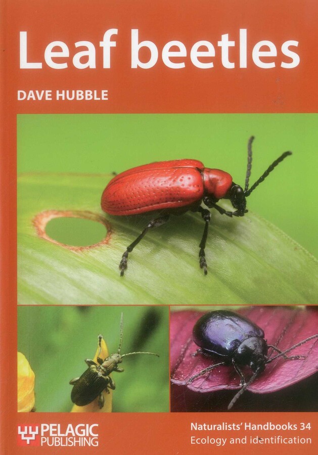 Leaf Beetles | Book by Dave Hubble | Official Publisher Page | Simon ...