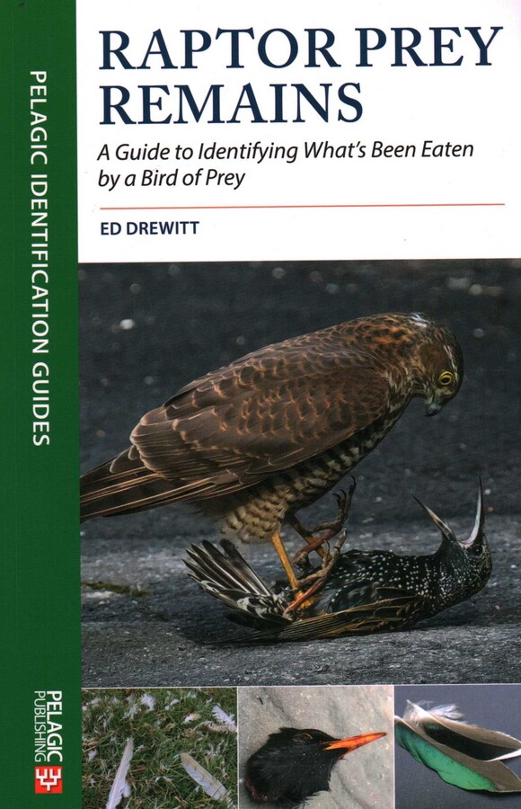 Raptor Prey Remains | Book by Ed Drewitt | Official Publisher Page ...