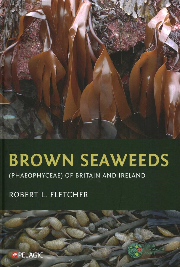 Brown Seaweeds (Phaeophyceae) of Britain and Ireland | Book by Robert L ...