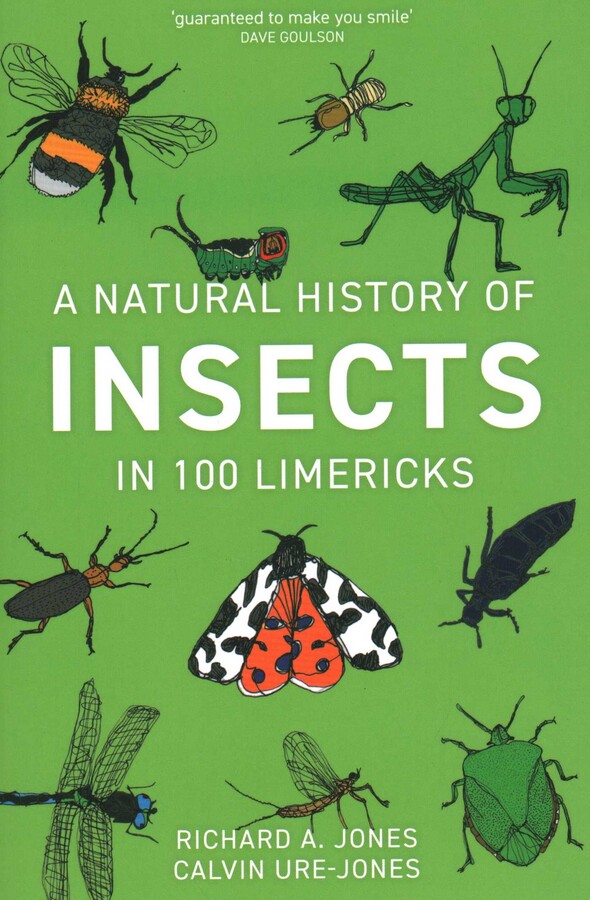 A Natural History of Insects in 100 Limericks | Book by Richard A ...