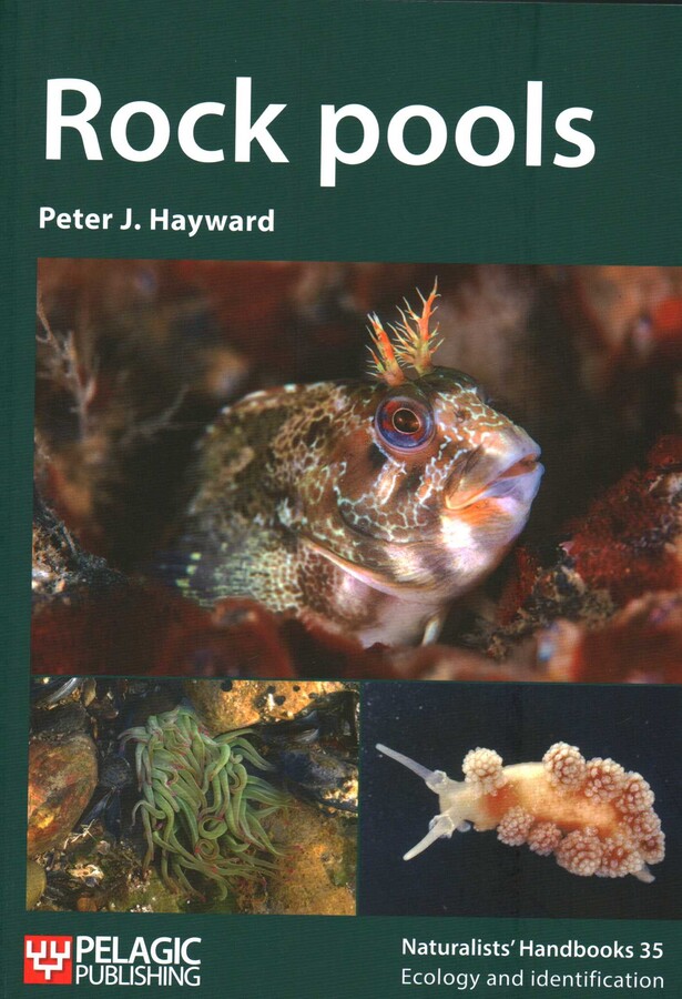 Rock Pools | Book by Peter J. Hayward | Official Publisher Page | Simon ...
