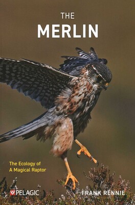 The Merlin | Book by Frank Rennie | Official Publisher Page | Simon ...