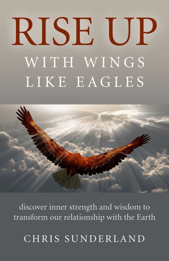 Rise Up - with Wings Like Eagles eBook by Chris Sunderland | Official ...