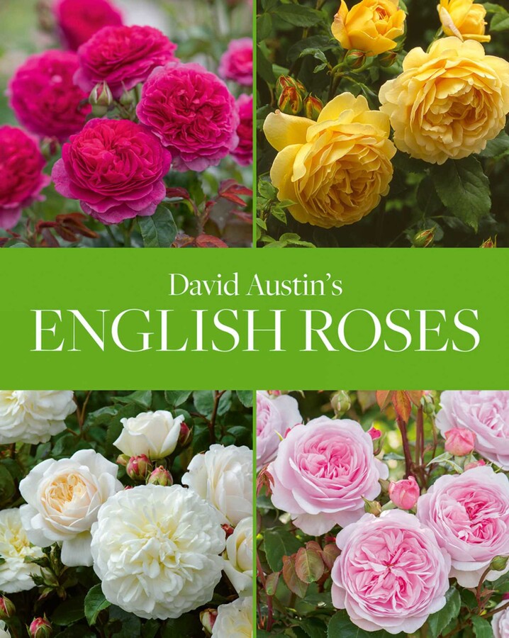 David Austin's English Roses | Book by David Austin | Official ...