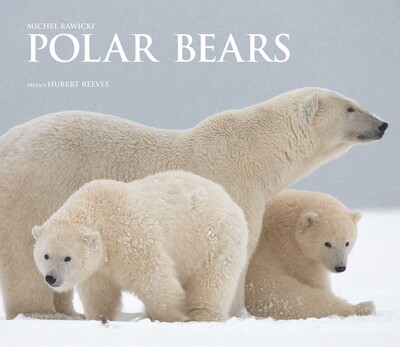 Polar Bears | Book by Michel Rawicki | Official Publisher Page | Simon ...