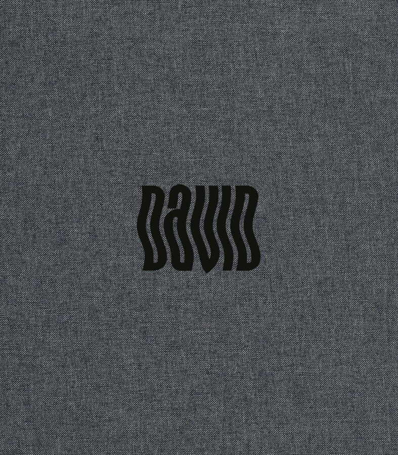 David Bowie by Denis O'Regan | Book by Denis O’Regan | Official ...