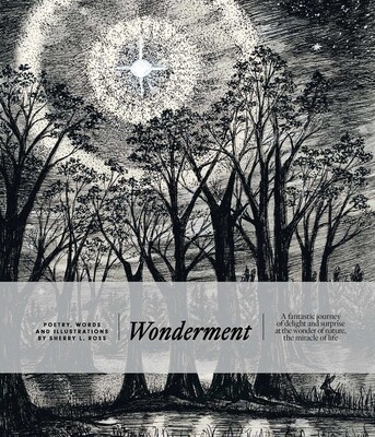 Wonderment | Book by Sherry Ross | Official Publisher Page | Simon ...