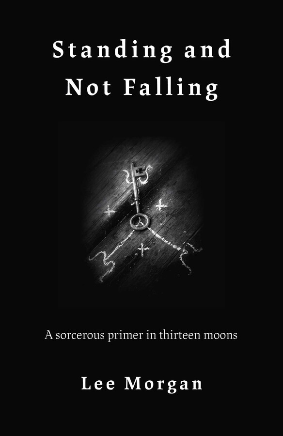 Standing and Not Falling eBook by Lee Morgan | Official Publisher Page ...