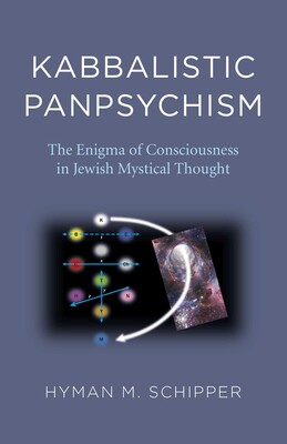 Kabbalistic Panpsychism | Book by Hyman M. Schipper | Official ...