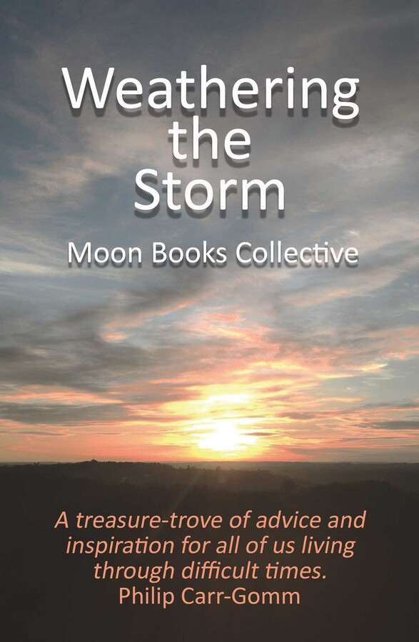 Weathering the Storm eBook by Trevor Greenfield | Official Publisher ...
