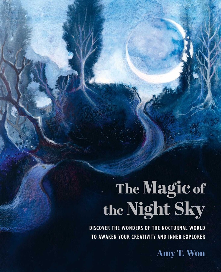 The Magic of the Night Sky | Book by Amy T Won | Official Publisher ...