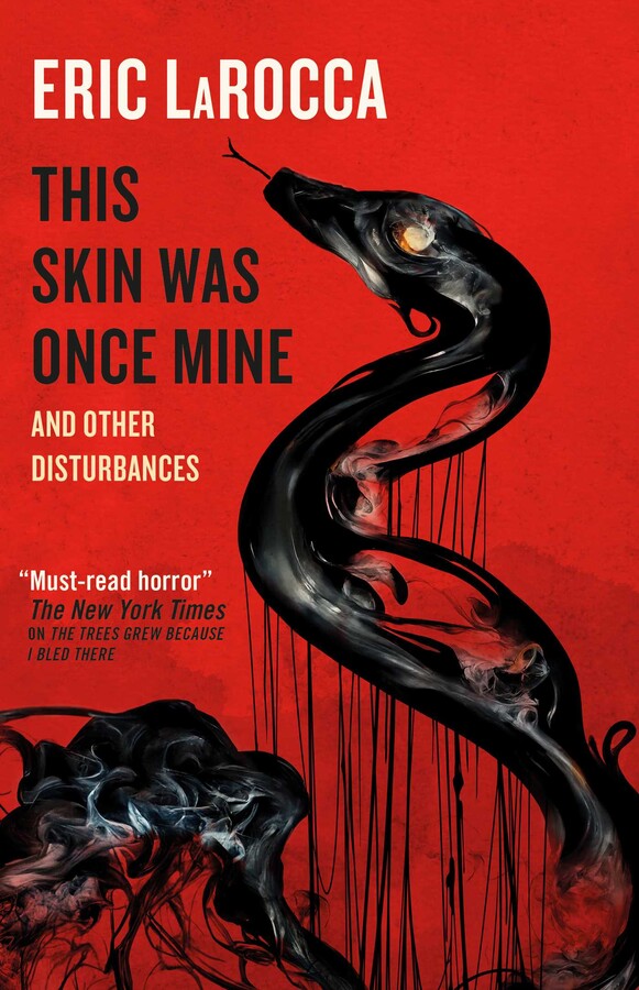 This Skin Was Once Mine and Other Disturbances | Book by Eric LaRocca ...
