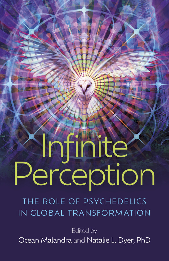 Infinite Perception | Book by Ocean Malandra, Natalie L. Dyer, Phd ...
