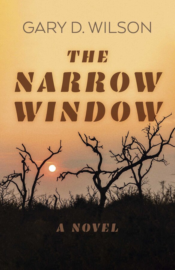 The Narrow Window eBook by Gary D. Wilson | Official Publisher Page ...