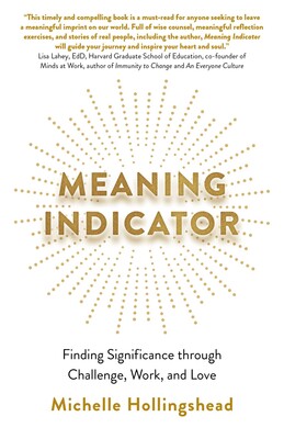 Meaning Indicator | Book by Michelle Hollingshead | Official Publisher ...