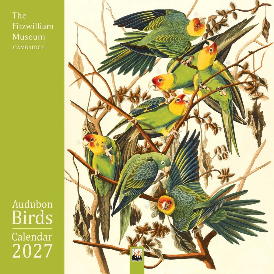 Fitzwilliam Museum: Audubon Birds Wall Calendar 2027 (Art Calendar ...