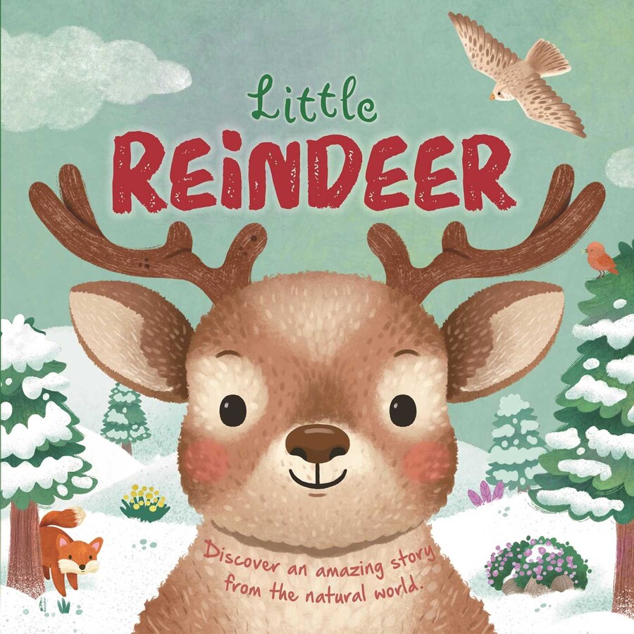 Nature Stories: Little Reindeer | Book by IglooBooks, Willow Green ...