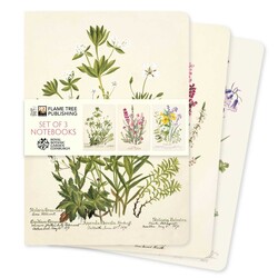 Standard Notebook Collection Books by Flame Tree Studio from Simon ...