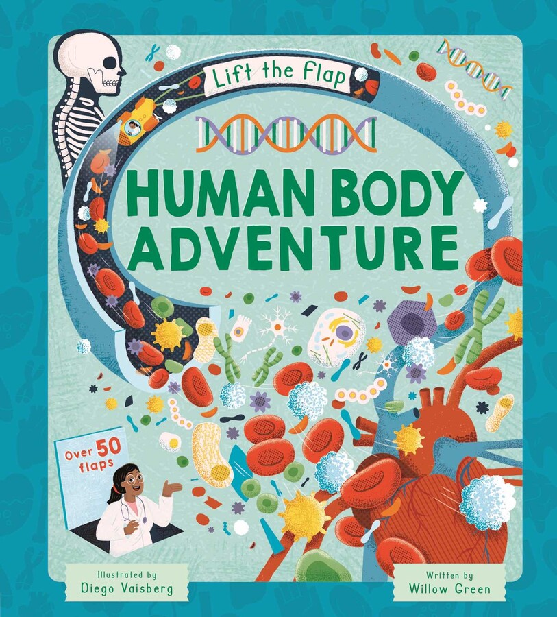 Lift-the-Flap Human Body Adventure | Book by IglooBooks, Willow Green ...