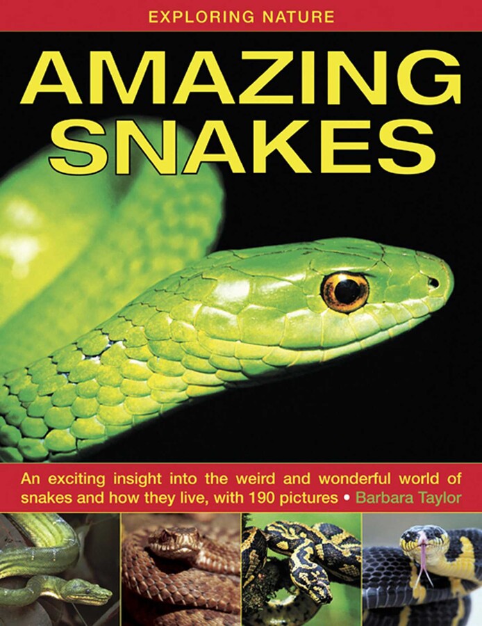 Exploring Nature: Amazing Snakes | Book by Barbara Taylor | Official ...