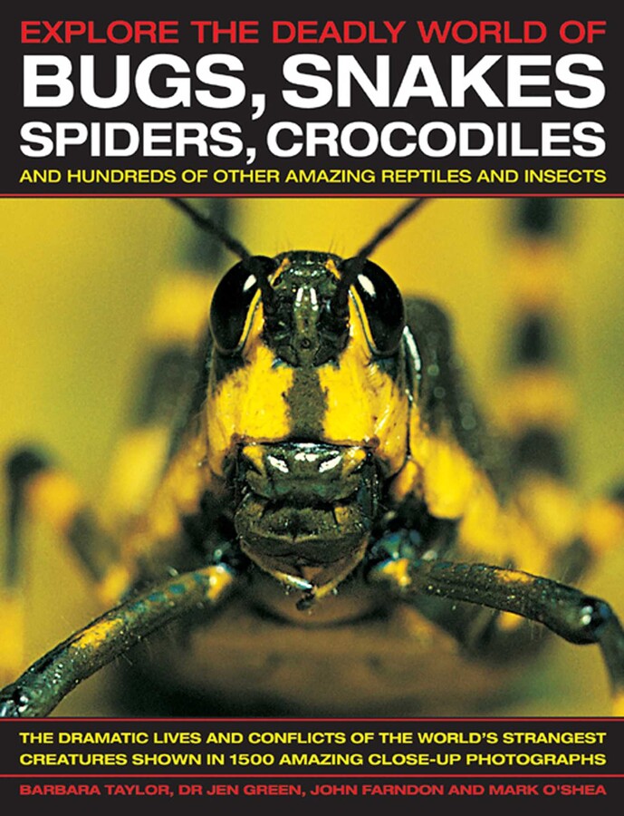 Explore The Deadly World of Bugs, Snakes, Spiders, Crocodiles | Book by ...