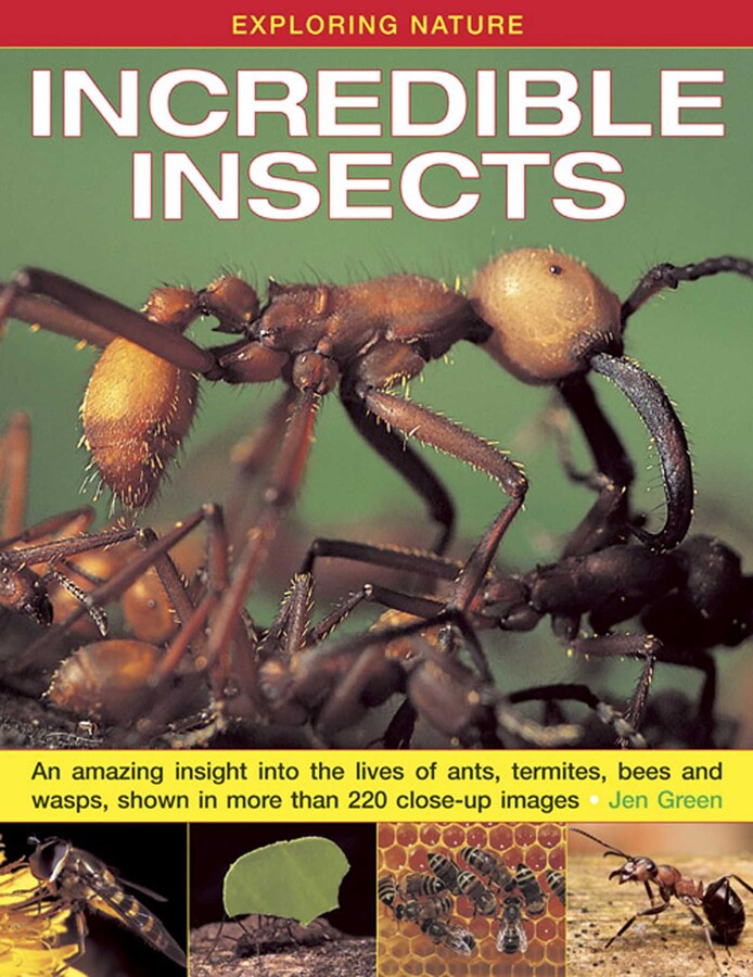 Exploring Nature: Incredible Insects | Book by Jen Green | Official ...