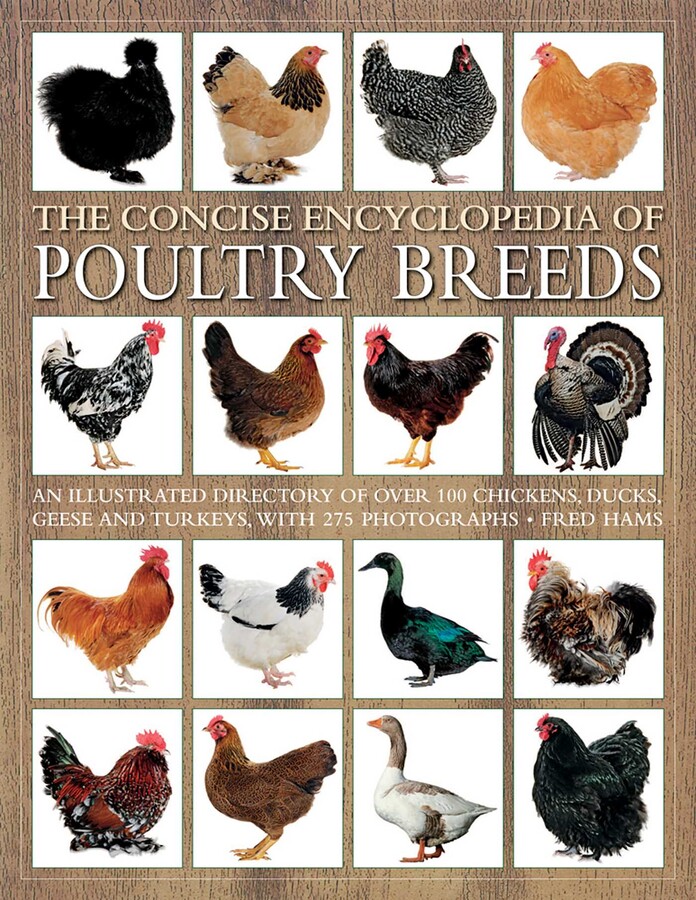 The Concise Encyclopedia of Poultry Breeds | Book by Fred Hams ...