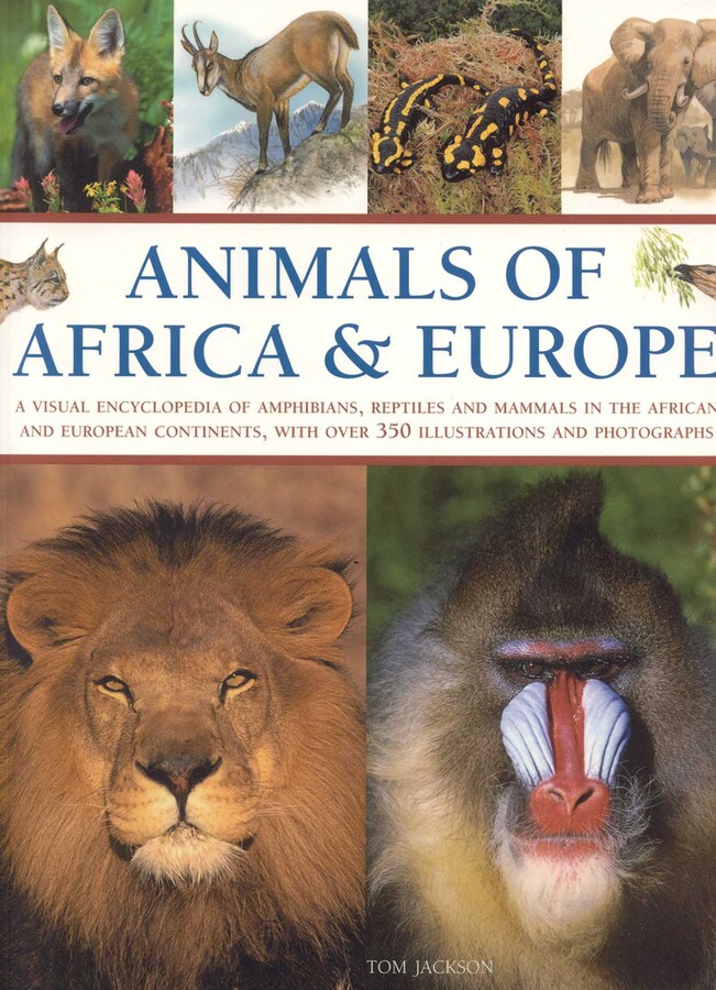 Animals of Africa and Europe | Book by Tom Jackson | Official Publisher ...