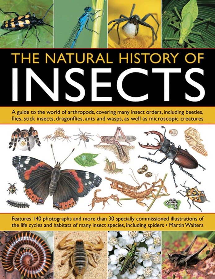 The Natural History Of Insects | Book by Martin Walters | Official Publisher Page | Simon & Schuster