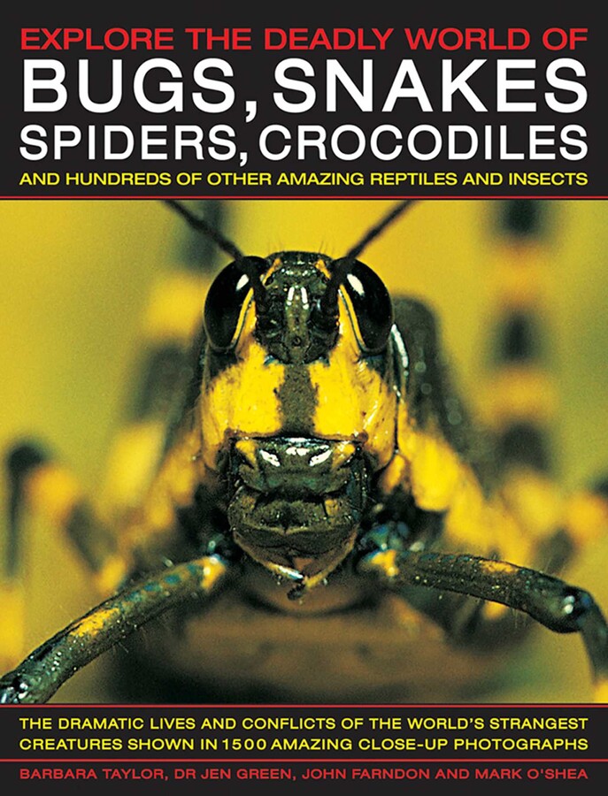 Explore the Deadly World of Bugs, Snakes, Spiders & Crocodiles | Book ...