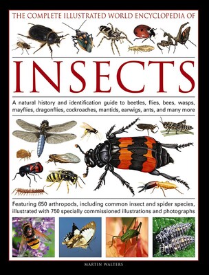 The Complete Illustrated World Encyclopedia of Insects | Book by Martin ...