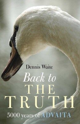 Back To The Truth eBook by Dennis Waite | Official Publisher Page ...