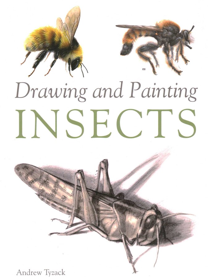 Drawing and Painting Insects | Book by Andrew Tyzack | Official ...