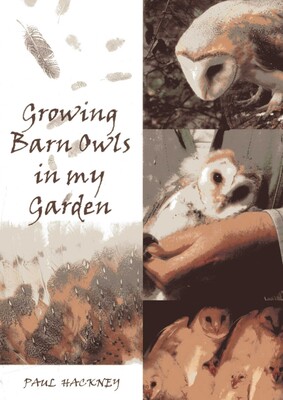 Growing Barn Owls in my Garden | Book by Paul Hackney | Official ...