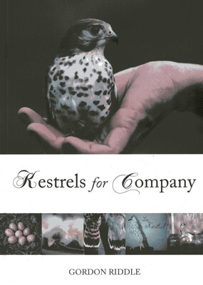 Kestrels for Company | Book by Gordon Riddle | Official Publisher Page ...