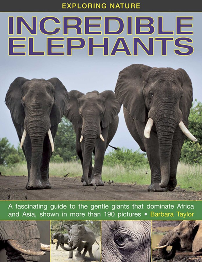 Exploring Nature: Incredible Elephants | Book by Barbara Taylor ...