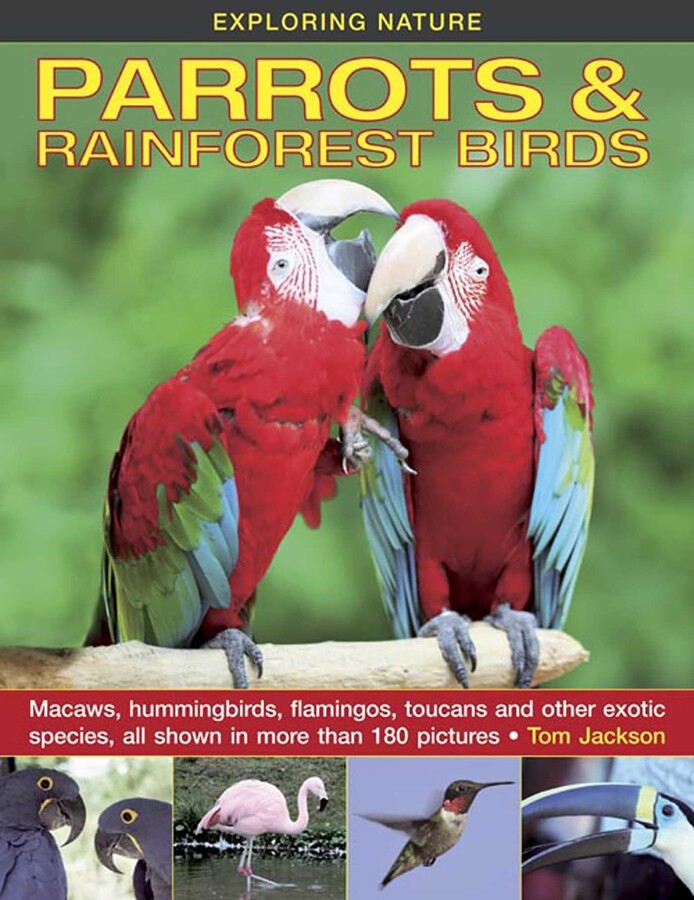 Exploring Nature: Parrots & Rainforest Birds | Book by Tom Jackson ...