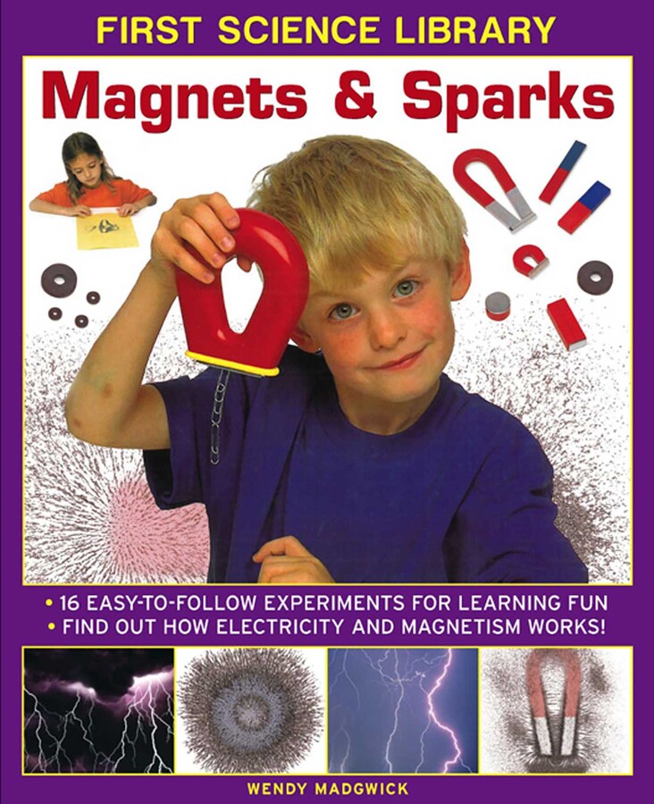 First Science Library: Magnets & Sparks | Book by Wendy Madgwick ...