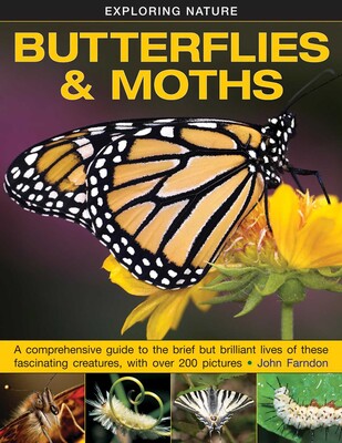Exploring Nature: Butterflies & Moths | Book by John Farndon | Official ...