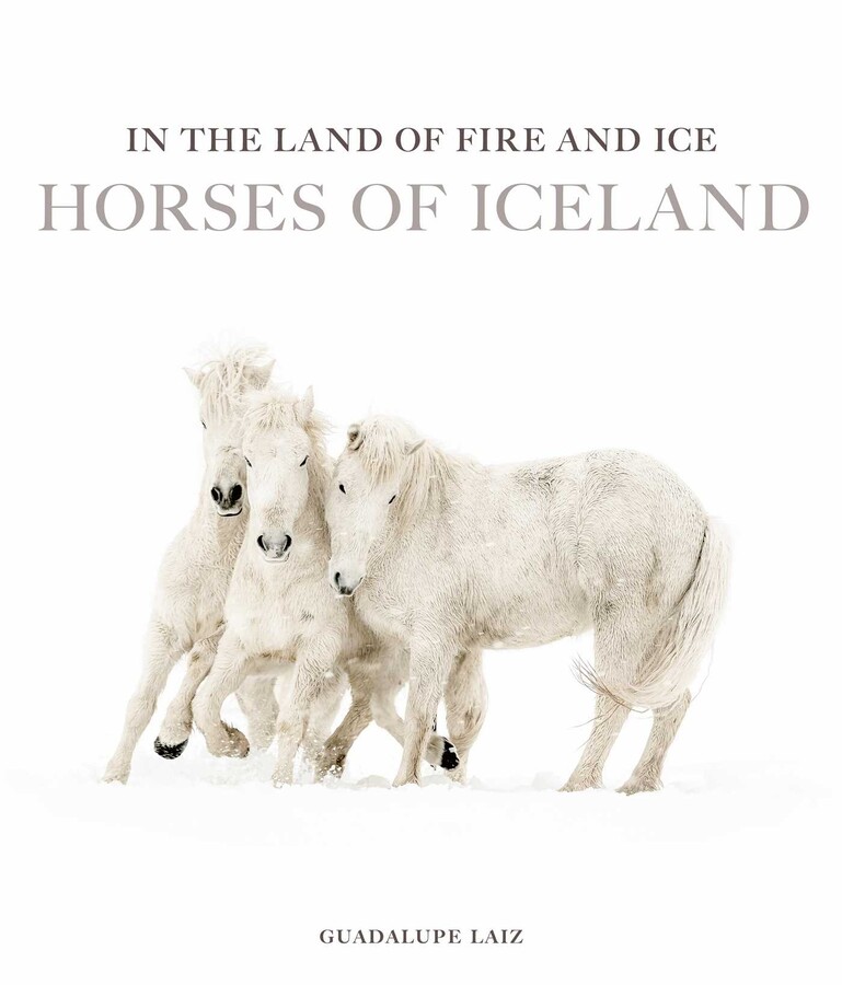 In the Land of Fire and Ice | Book by Guadalupe Laiz, Thrainn ...