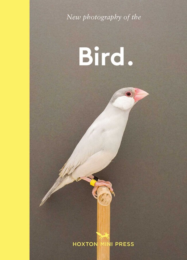 New photography of the Bird. | Book by Gemma Padly | Official Publisher ...