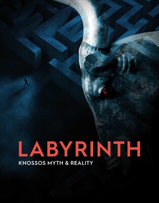 Labyrinth | Book by Andrew Shapland | Official Publisher Page | Simon ...
