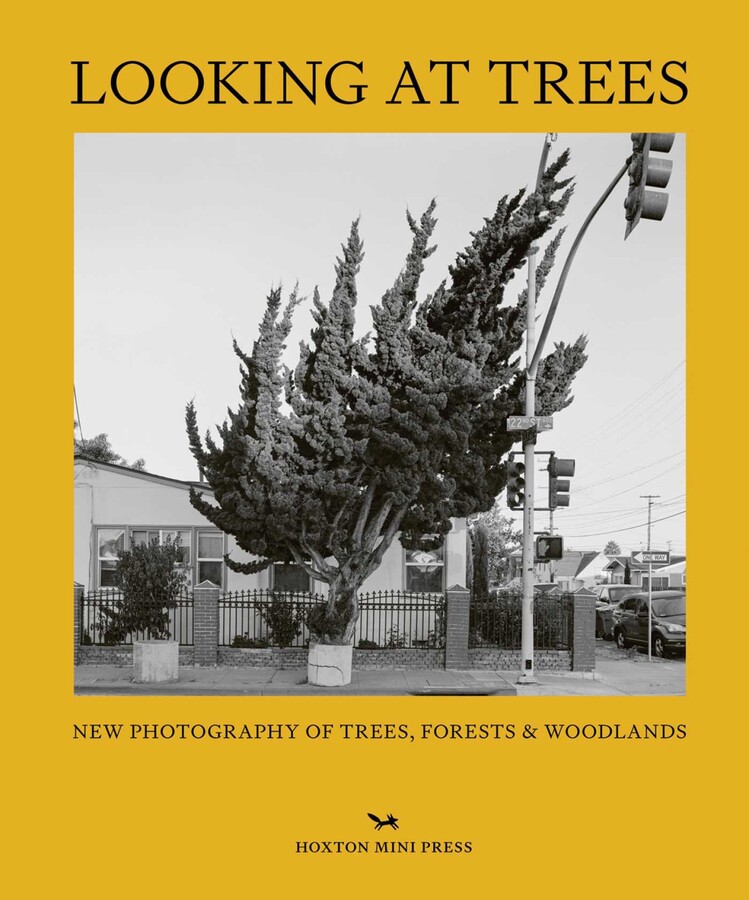 Looking at Trees | Book by Sophie Howarth | Official Publisher Page ...