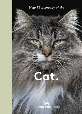 New Photography of the Cat. | Book by Hoxton Mini Press | Official ...