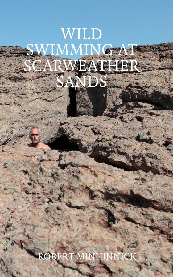 Wild Swimming at Scarweather Sands | Book by Robert Minhinnick ...